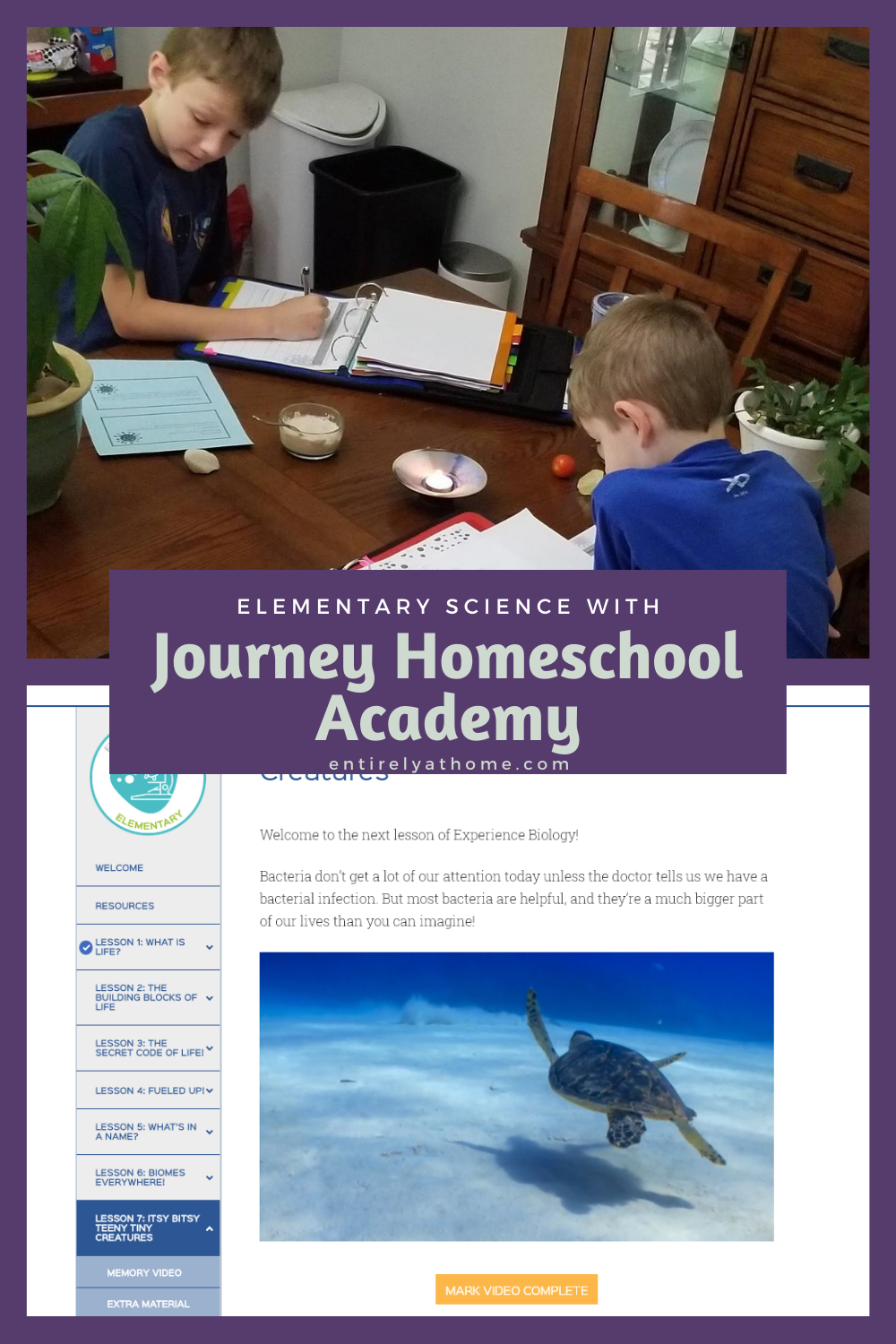 Elementary Science with Journey Homeschool Academy — Entirely at Home